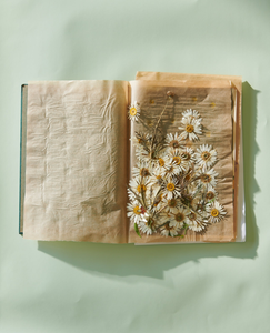 Eat Your Flowers by Loria