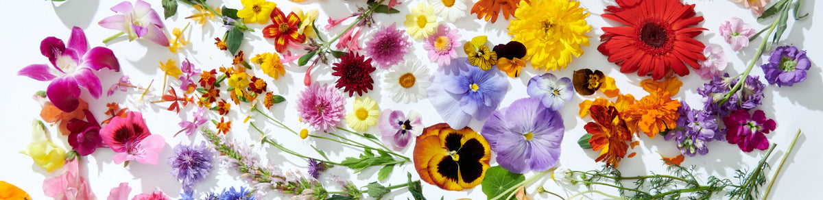 Catering | Eat Your Flowers by Loria