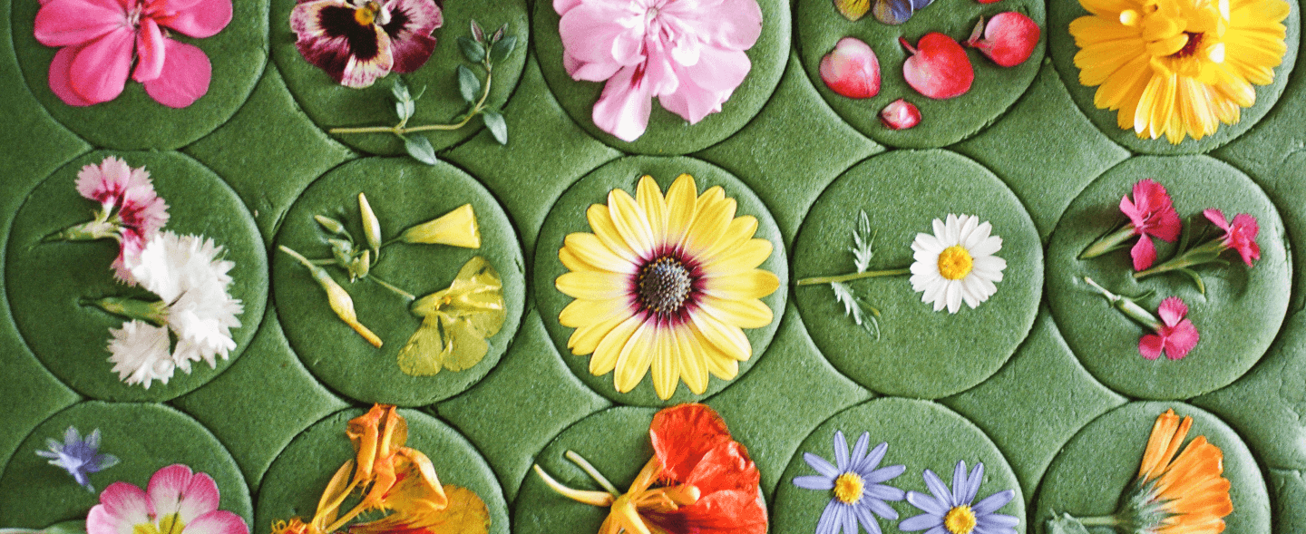 Eat Your Flowers by Loria