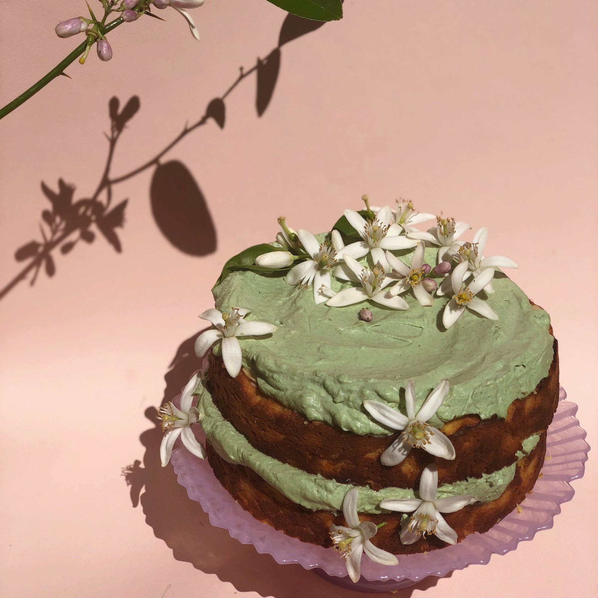 🌟 Cookbook 🌟 | Eat Your Flowers by Loria